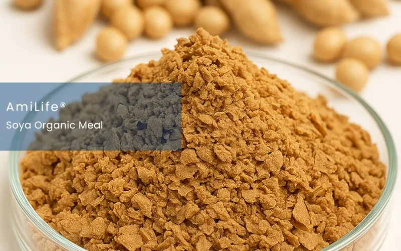 Organic Soya Meal Manufacturers in India | Amitex India